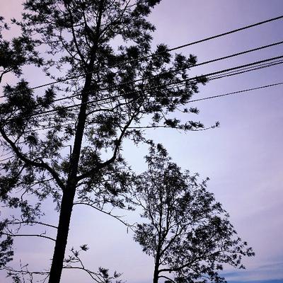 evening sky - KDE Store