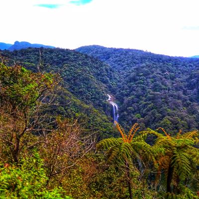 waterfall through trees - KDE Store