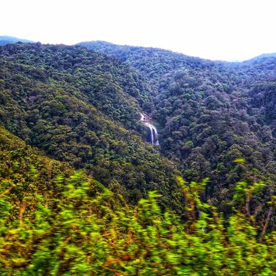 waterfall through trees - KDE Store
