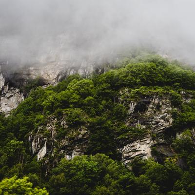 Mountain Vegetation - KDE Store