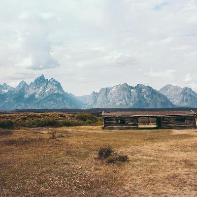 Wilderness - KDE Store