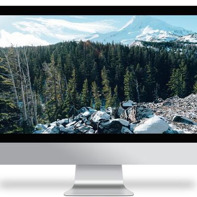 pine forest - KDE Store