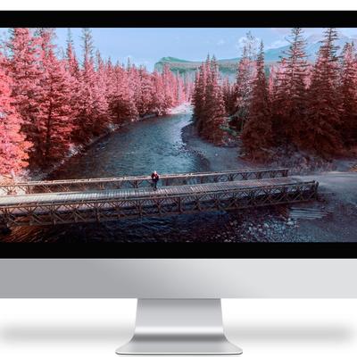red trees - KDE Store