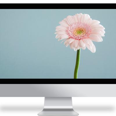 pink flower - addons.videolan.org