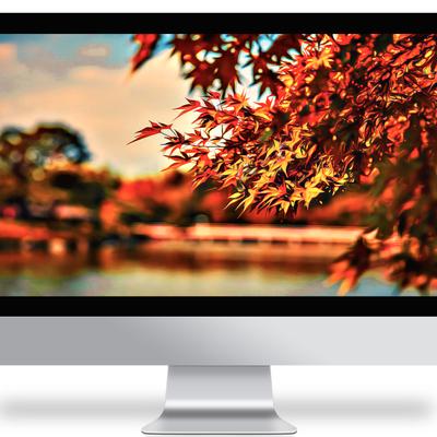 red leaf - KDE Store