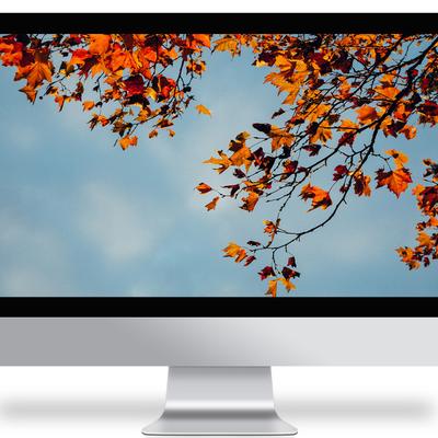 maple leaf - KDE Store