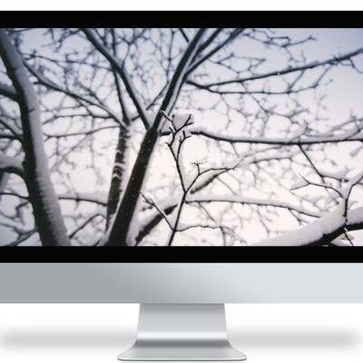 winter trees - KDE Store