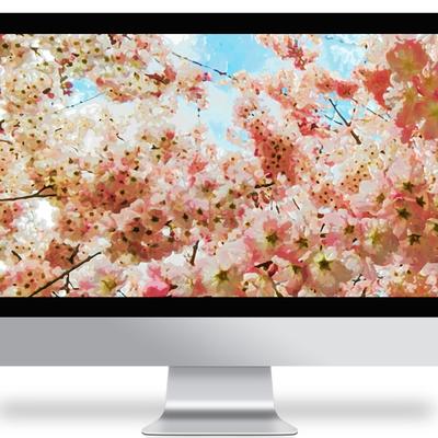 Cherry Blossom - KDE Store