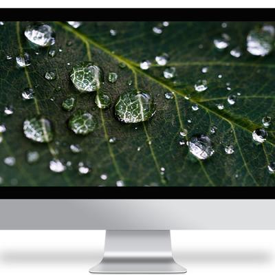 Leaf with water drops - KDE Store
