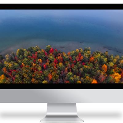 colorful trees - KDE Store