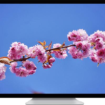 cherry blossom - KDE Store