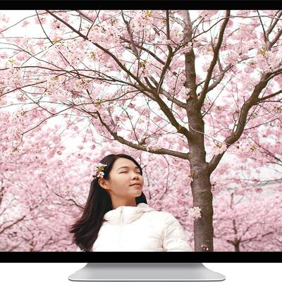 cherry blossom - KDE Store