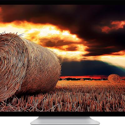 Field - KDE Store