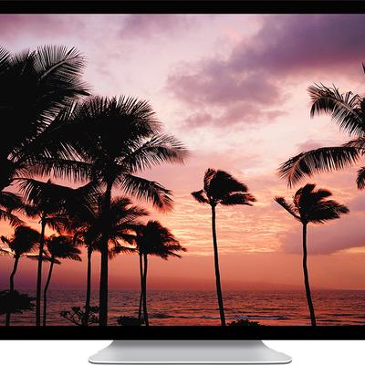 Coconut Trees - KDE Store