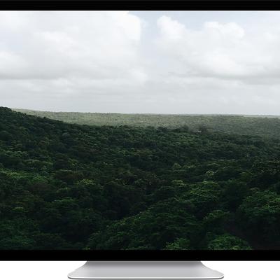 green forest - KDE Store