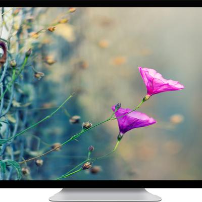 pink flower - KDE Store