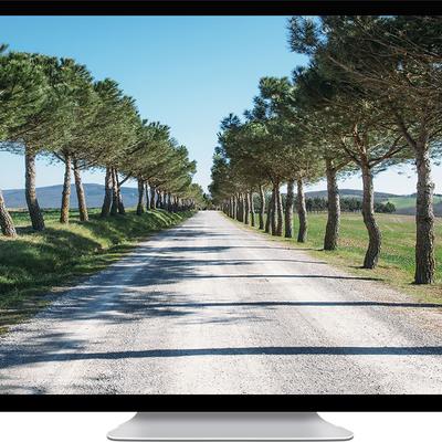 tree road - KDE Store