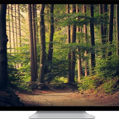 Forest - KDE Store