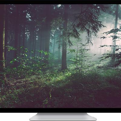 Forest - KDE Store