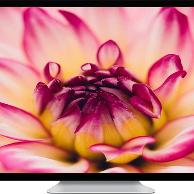 pink flower - KDE Store