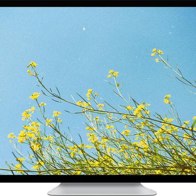 little yellow flowers - KDE Store