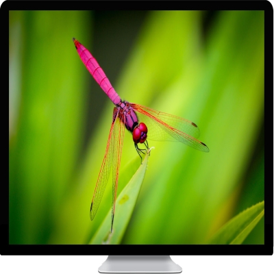 Dragonfly - KDE Store