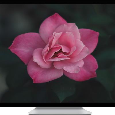 rose - KDE Store