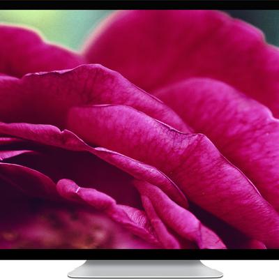 Pink rose - KDE Store