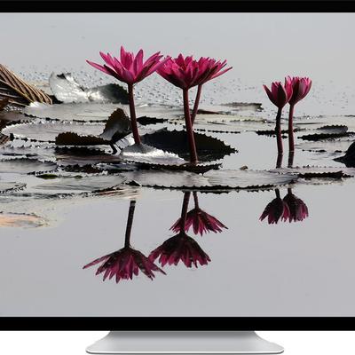 mud flower - KDE Store