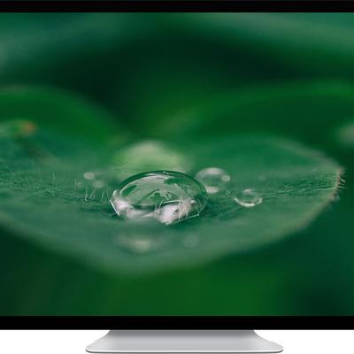 green leaf - KDE Store