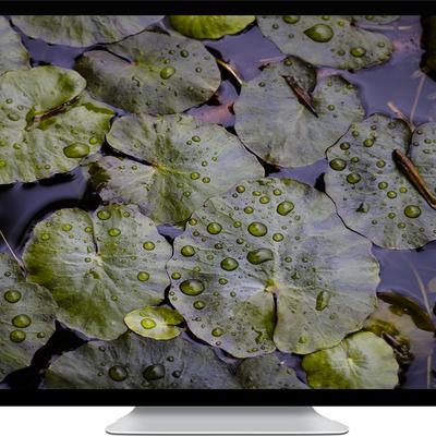 mud Leaf - KDE Store