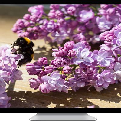 purple Flower with bee - KDE Store