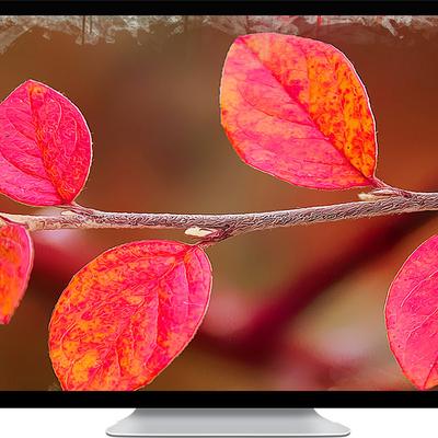 red leaf - KDE Store