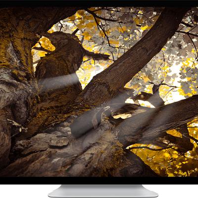 sun rays through trees - KDE Store