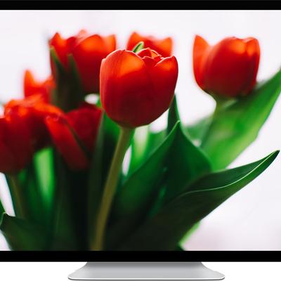 red followers - KDE Store