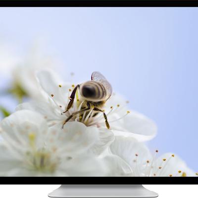 Flower Bee - KDE Store