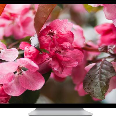 Pink - addons.videolan.org