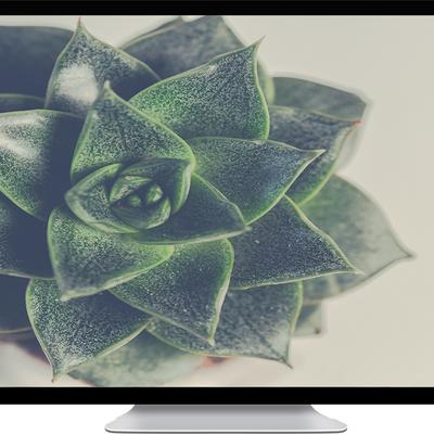 dark green - KDE Store