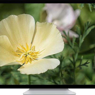 lite yellow - KDE Store