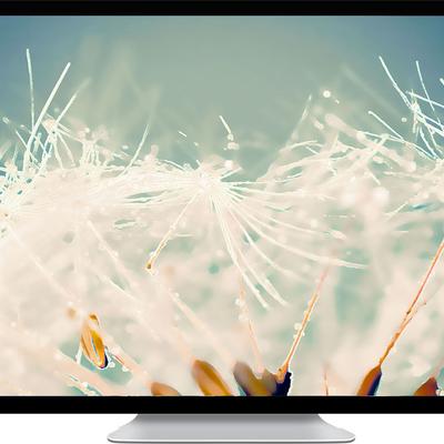 Dandelion - KDE Store