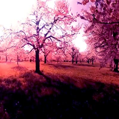 sun shining wallpaper - KDE Store