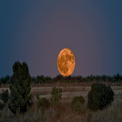 Full moon over field - KDE Store