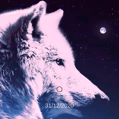 Wolf-Splash-22-Kde - KDE Store