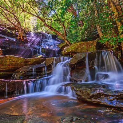 trees nature landscape waterfall stream - KDE Store