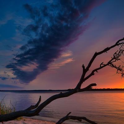 sky river tree sunset snag north carolina - KDE Store