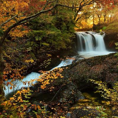 waterfall autumn nature - KDE Store