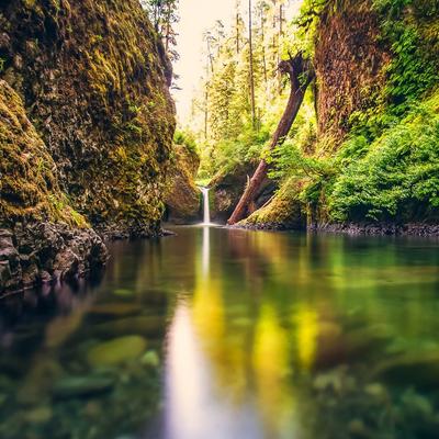 trees river rocks forest waterfall moss landscape - KDE Store