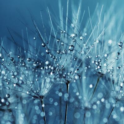 Rain drops - KDE Store