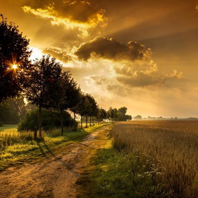 Nature SUNRAYS HD wallpaper - KDE Store