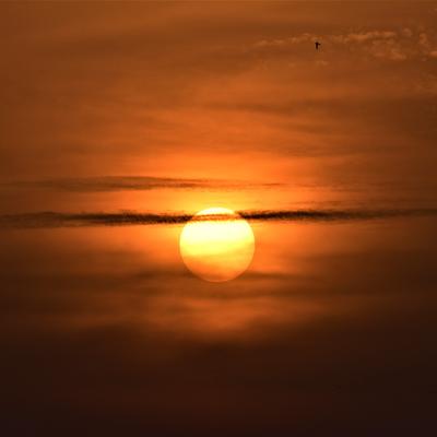 Scenic View Of Sun During Dawn hd wallpaper - KDE Store